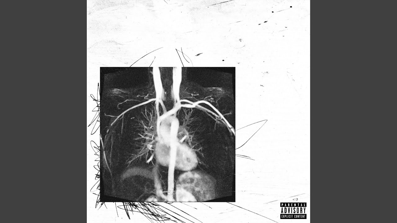 PYTHON (feat. soyishay) - YouTube