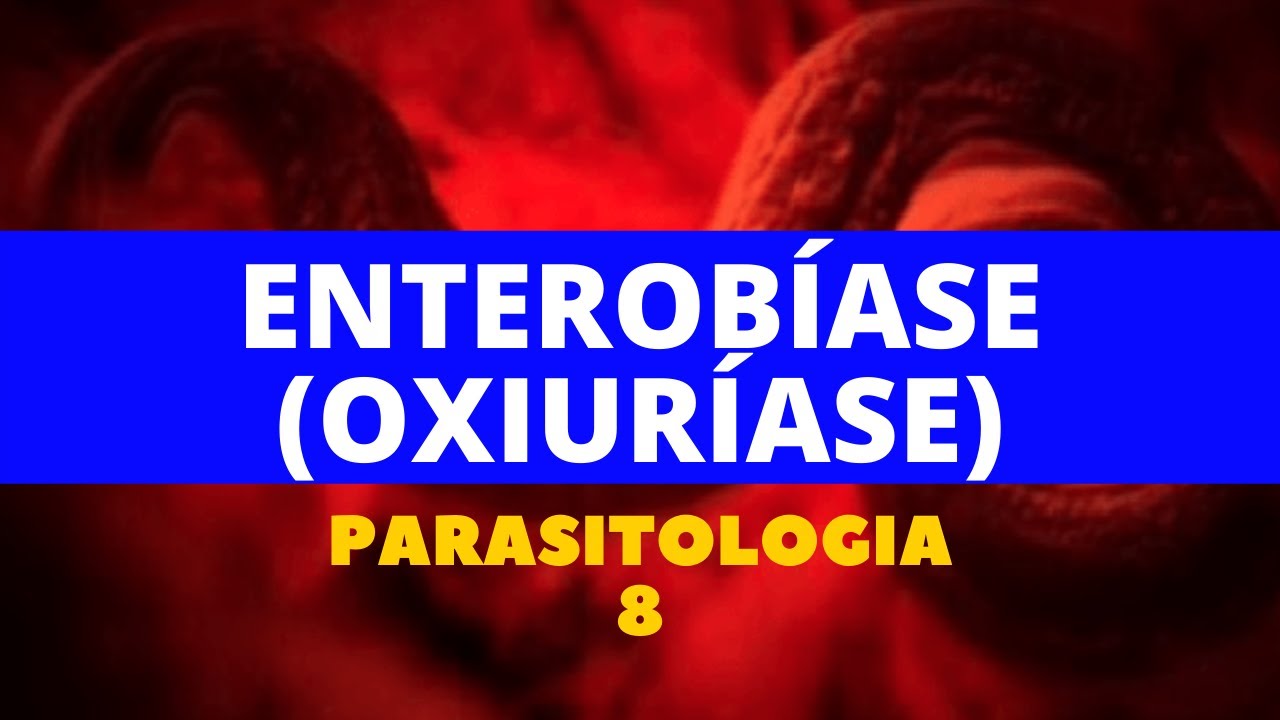 ENTEROBÍASE (OXIURÍASE) - PARASITOLOGIA 8 - YouTube