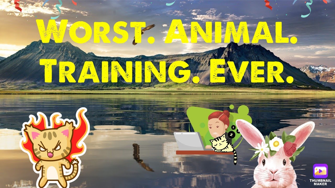 Worst. Animal. Training. Ever. - YouTube
