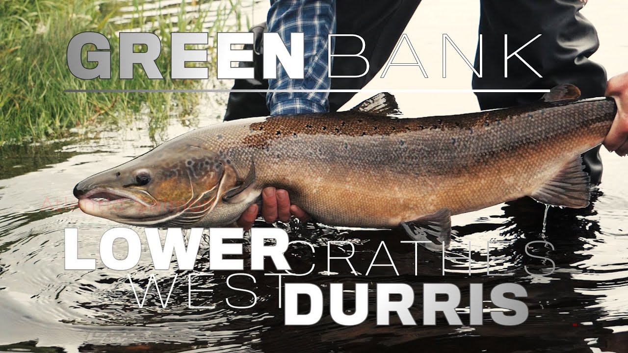 River Dee - Scotland - Lower Crathes West Durris - Greenbank Pool - YouTube