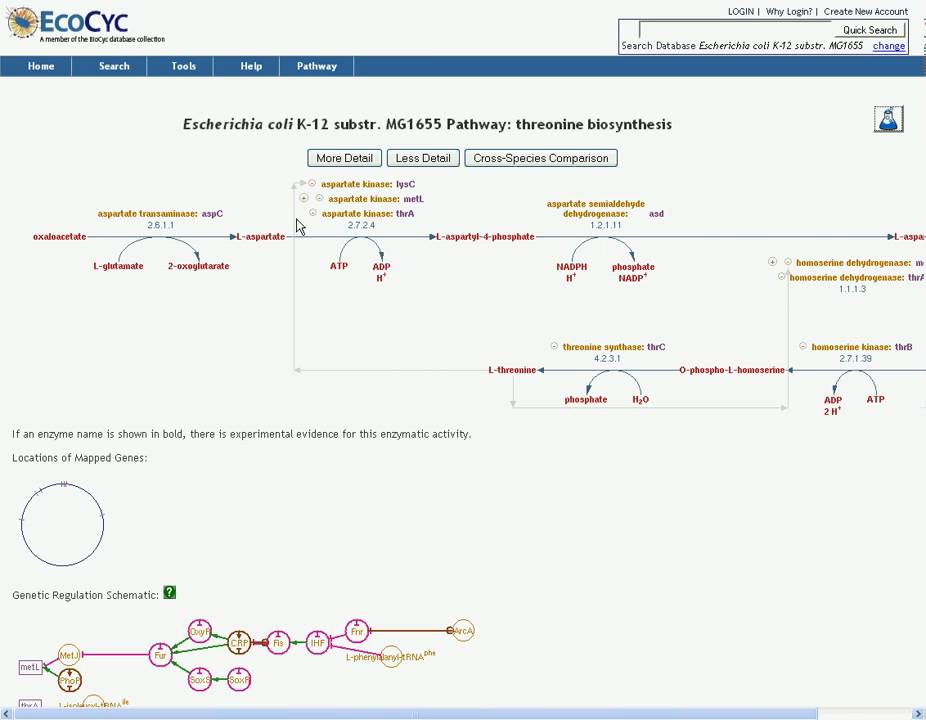 Intro to BioCyc 2009 - Pathways - YouTube