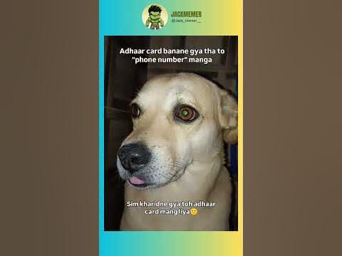 Na sim card Mila Na adhaar card bana🙄 #ytshorts #funny #memes #shorts - YouTube