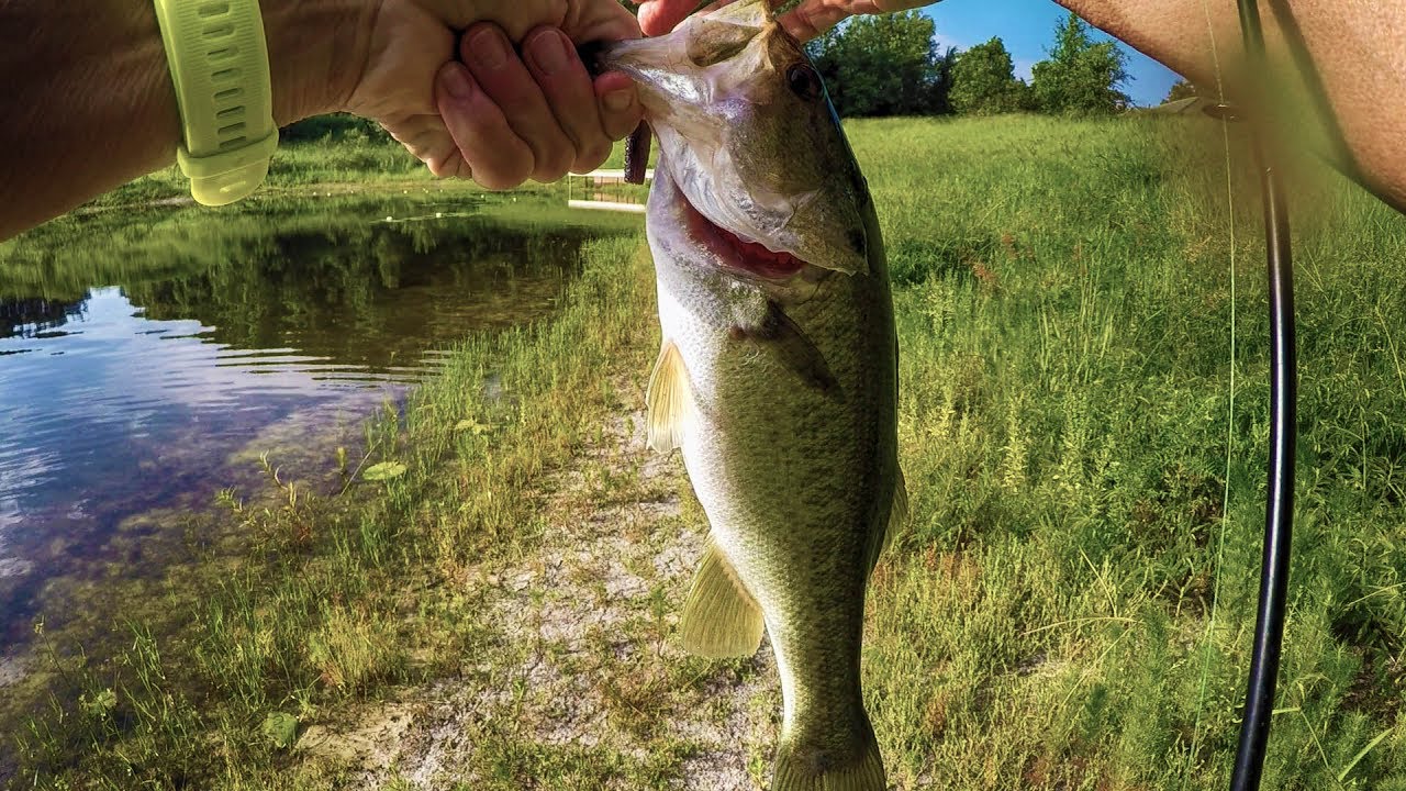 Finesse Those Summer Bass Out Of Hiding - 7/10/17 - YouTube