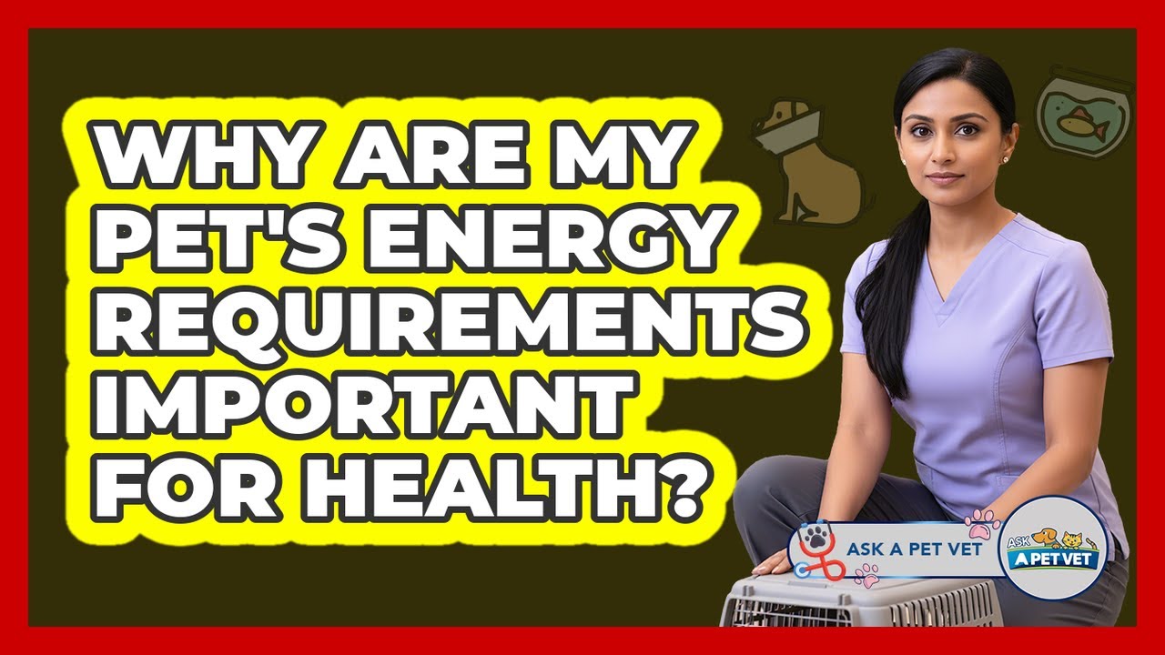 Why Are My Pet's Energy Requirements Important For Health? - YouTube