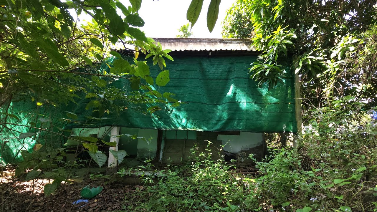 Còn nguyên cái mùng trong ngôi nhà bỏ hoang nhìn thôi cũng nổi hết da ...