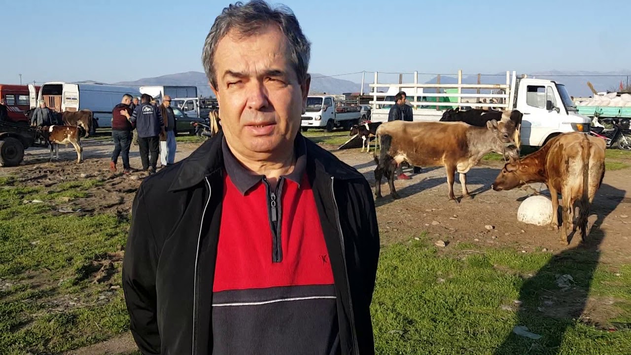 Tregu i kafsheve ne Stom Golem, Shkoder - YouTube