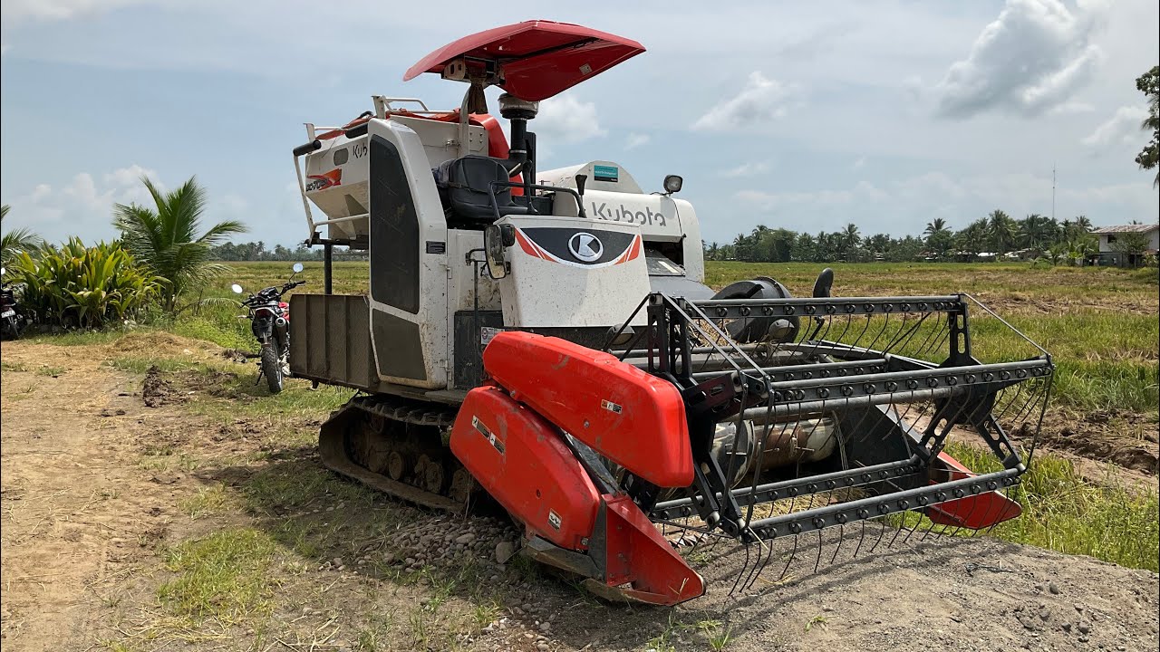 FARMING IS A WAY OF LIFE VERUELA AGUSAN DEL SUR PHILIPPINES 🇵🇭 ...