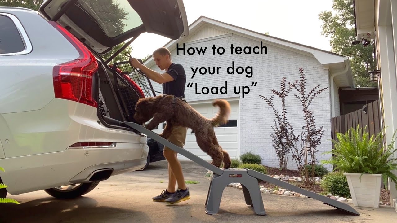 HOW TO Teach A Dog To Load Up Using A Ramp - YouTube