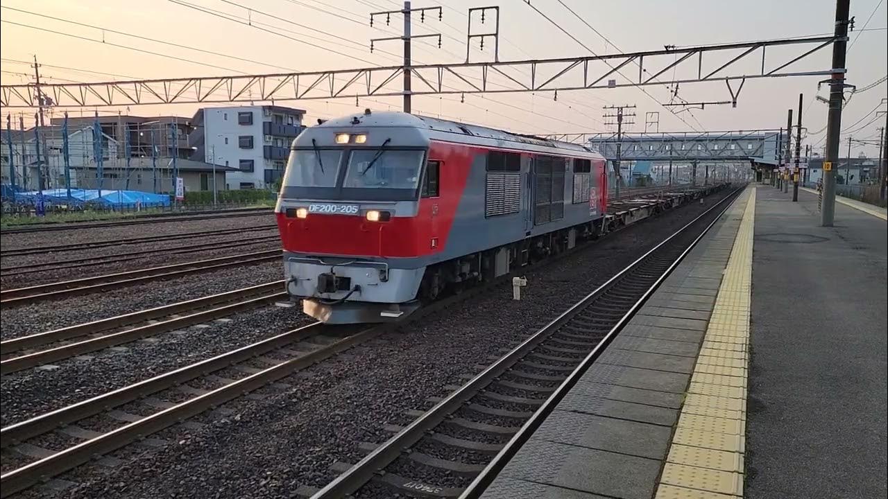 【貨物】レッドベアDF200-205 コキ配給 清洲駅通過 - YouTube
