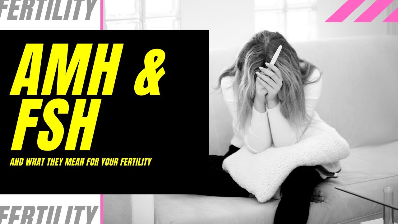 AMH & FSH: What These Numbers Mean For Your Fertility - YouTube