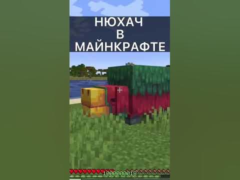 Нюхач в Майнкрафте! Что он ест? #нюхач #майнкрафт #minecraft #sniffer ...