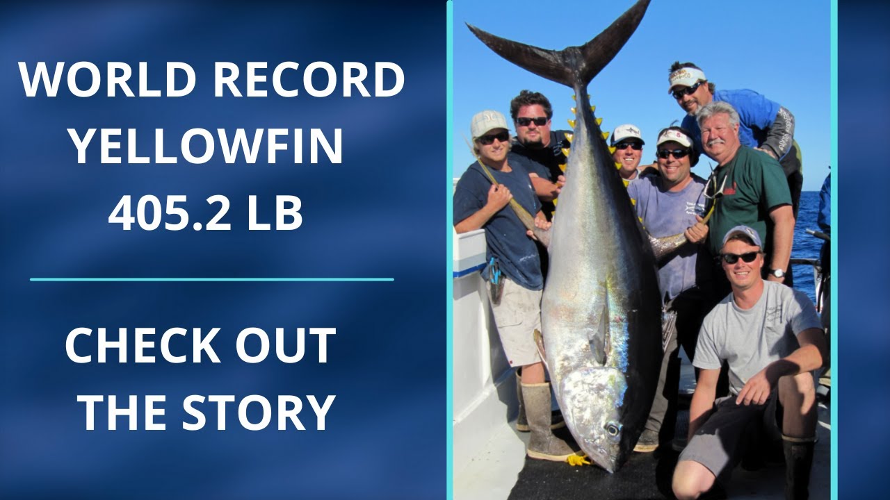 World Record Yellowfin Tuna