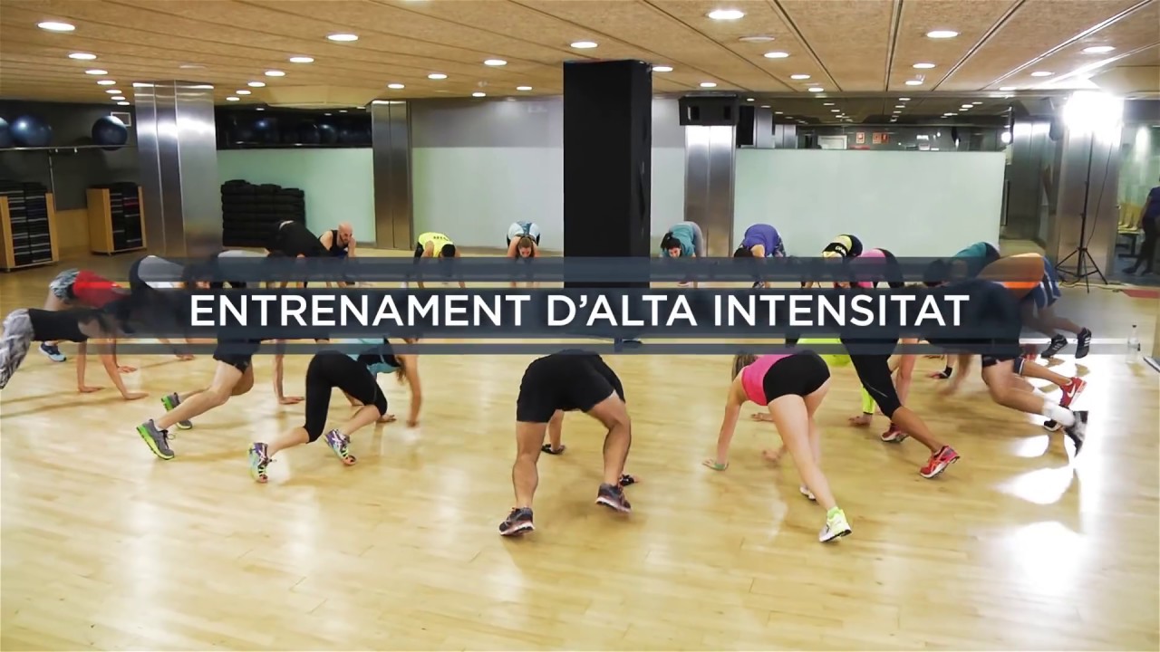 Spot Animal Fit, nova activitat dirigida a Clubs DiR - YouTube