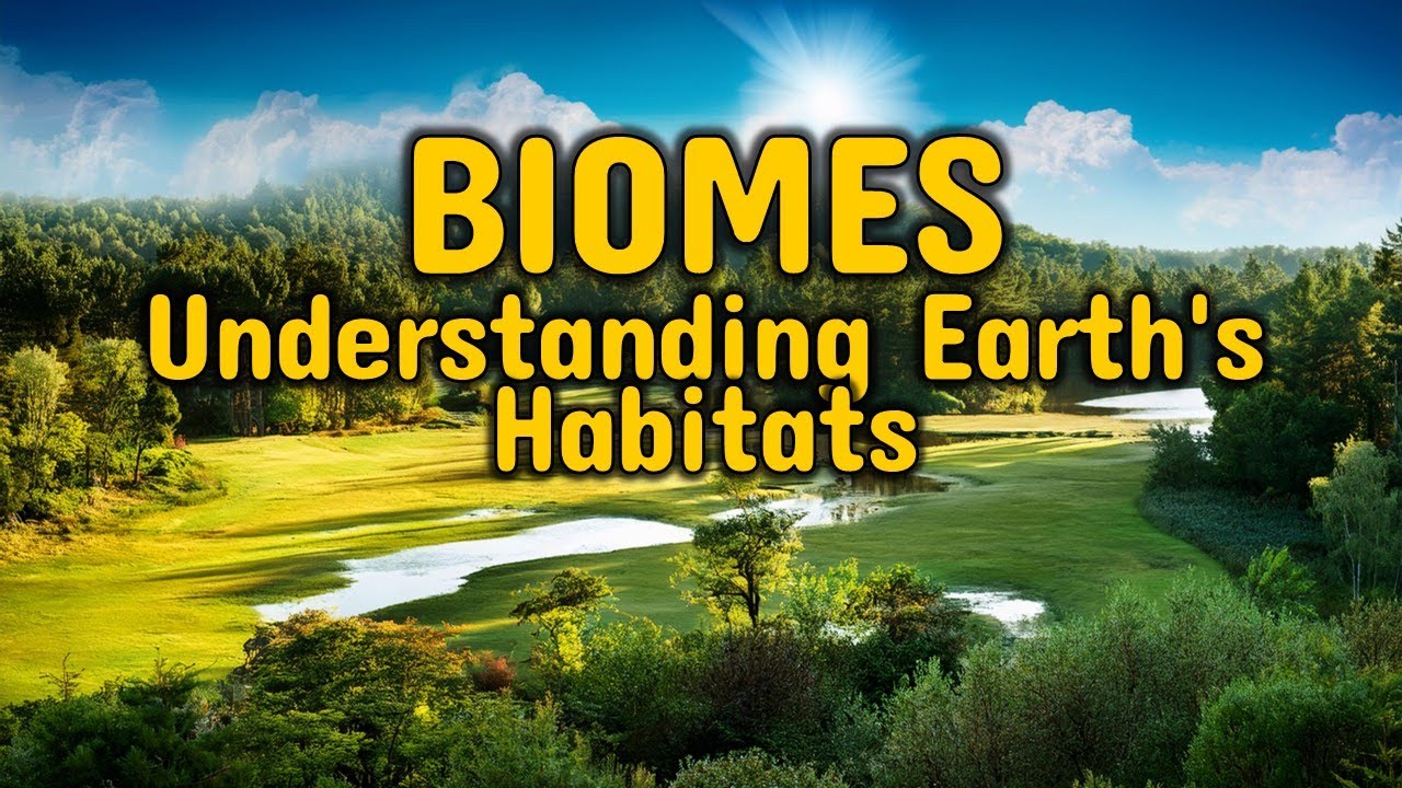Biomes 101: Exploring Earth’s Diverse Habitats and Ecosystems - YouTube