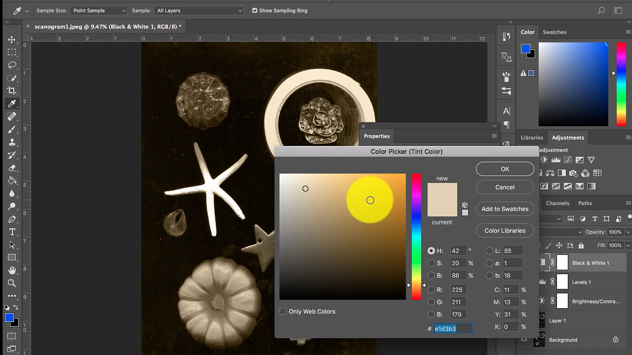 scanogram how to (2 of 2) - YouTube