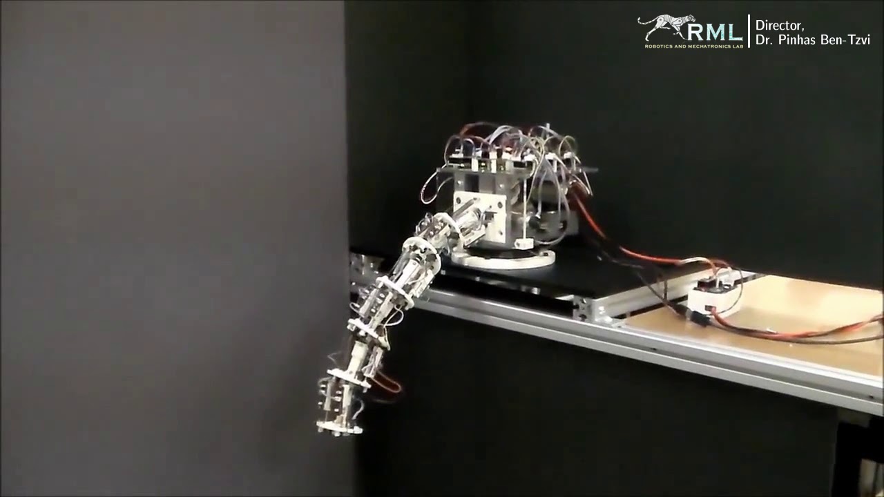 Universal Spatial Robotic Tail (USRT) - YouTube