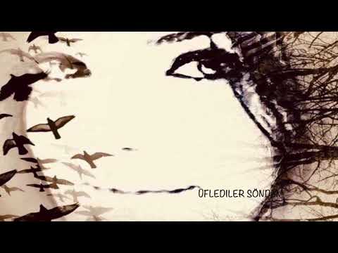 Özay - üflediler söndüm (cover)