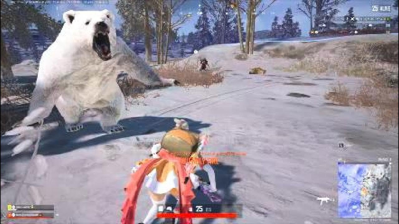 PUBG: BEARS BEARS BEARS BEARS BEARS BEARS BEARS BEARS BEARS BEARS BEARS ...