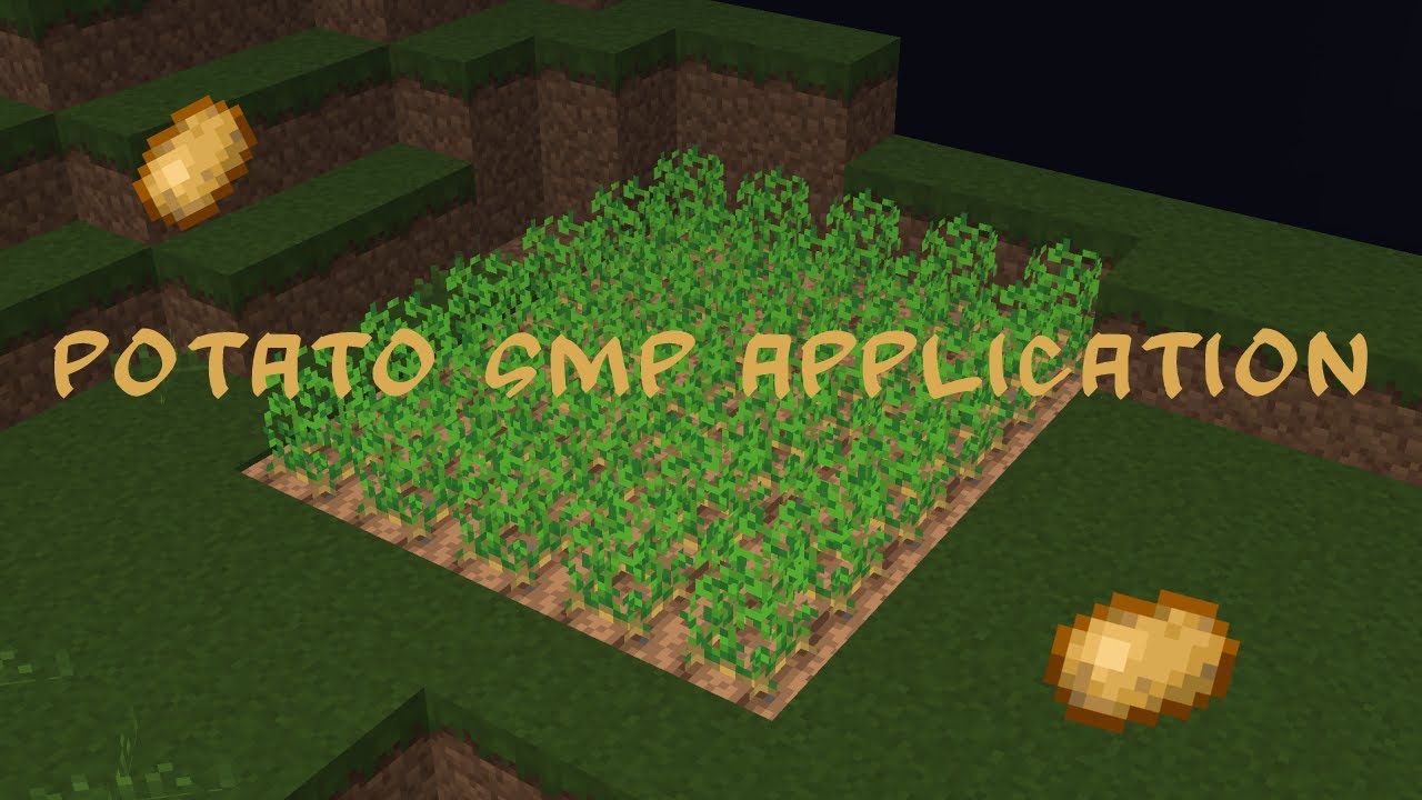 Potato SMP Application #potatoApp - YouTube