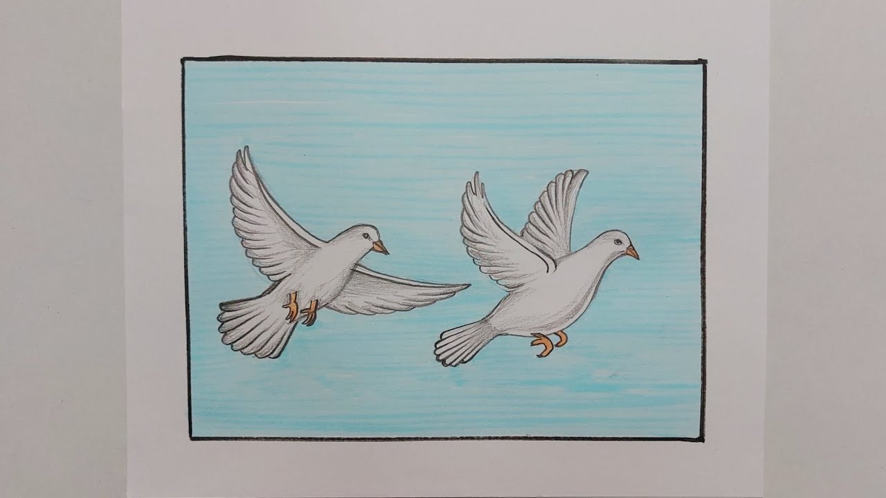 Flying Pigeon- Drawing - YouTube