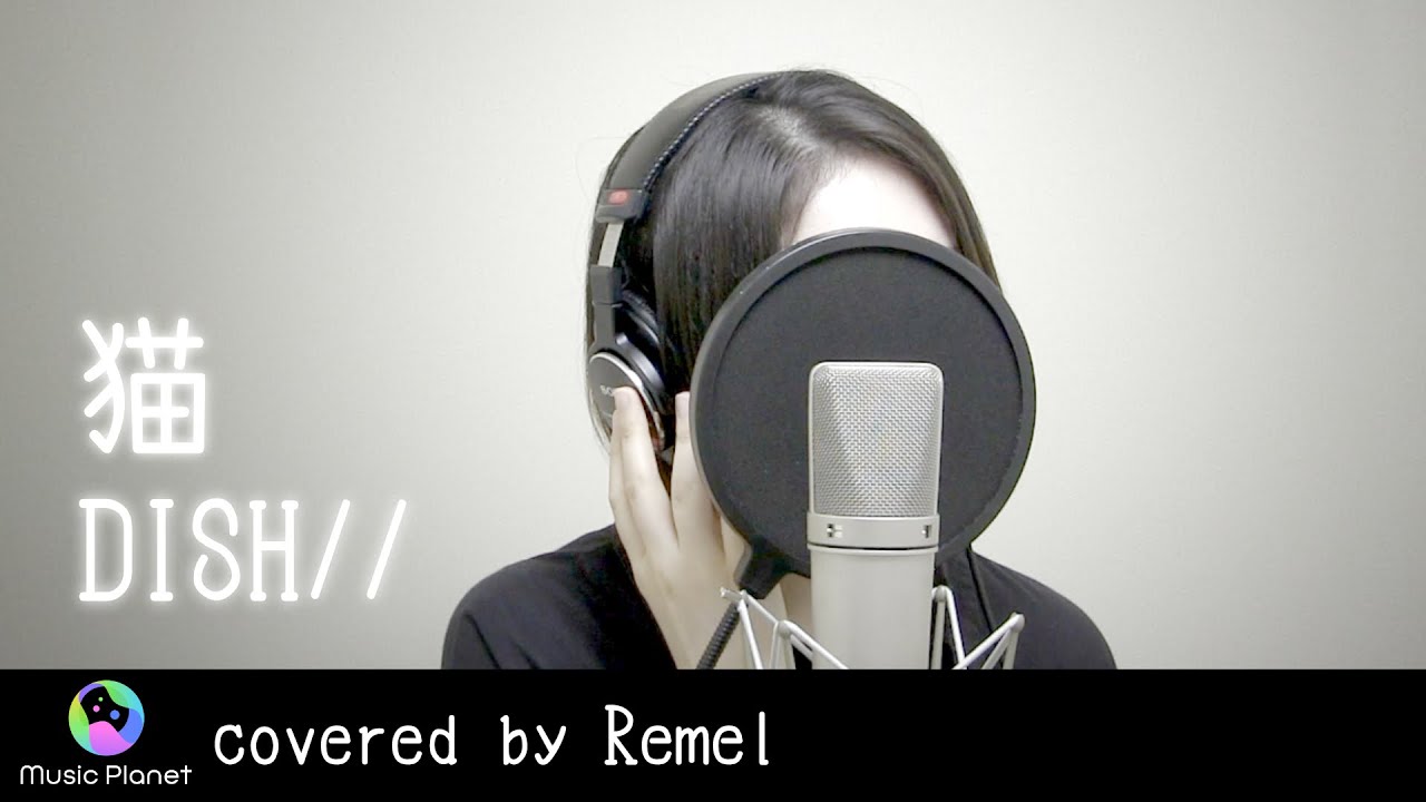 『猫 / DISH//』covered by Remel - YouTube