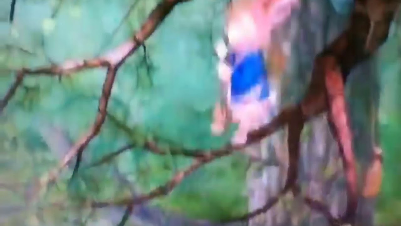 Peter Rabbit Swinging - YouTube