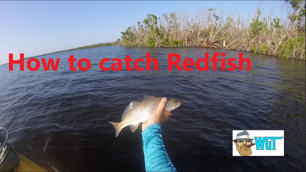 Catching Redfish the easy way! Anyone can do it!! - YouTube