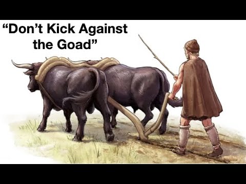 Living Hope UK - Don't Kick Against the Goad - Sun 15th Dec 2024 - YouTube