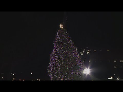 Crews work to upright National Christmas Tree after wind knocks it over ...