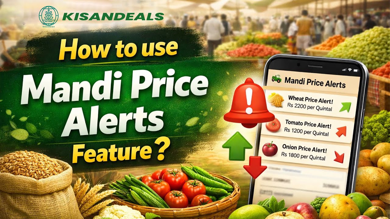 How to use Mandi price alerts feature in KisanDeals - YouTube