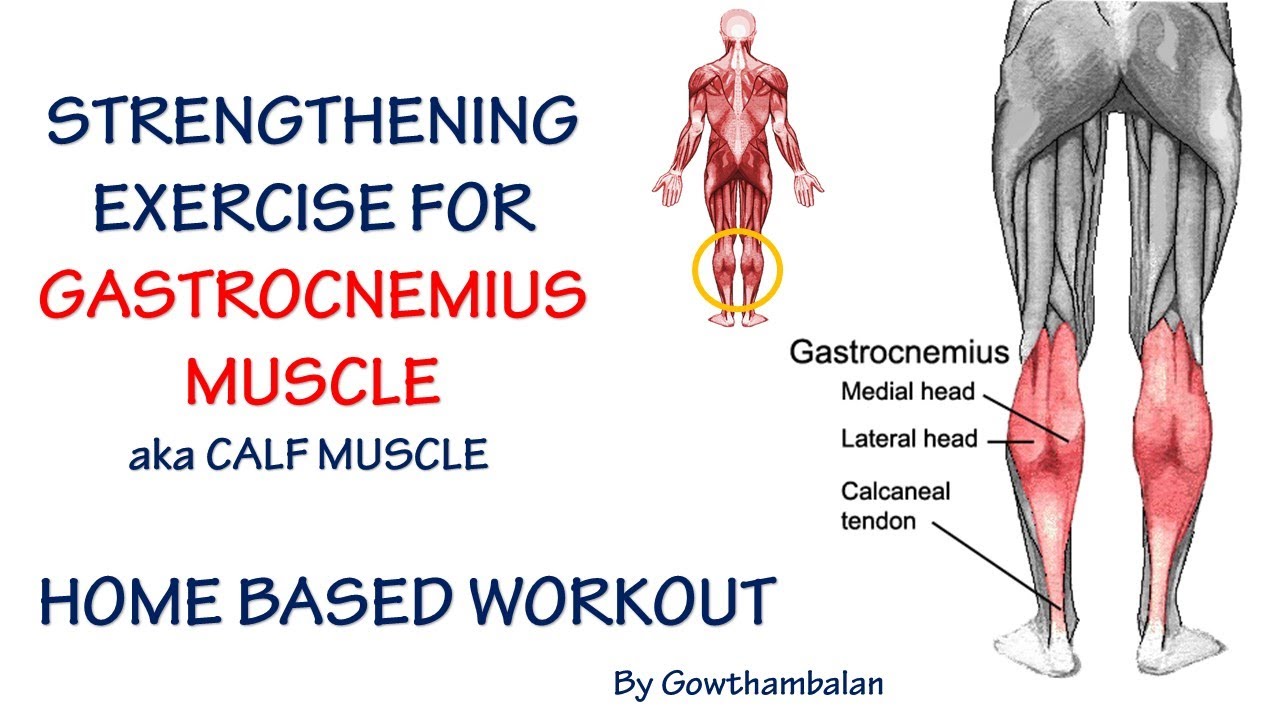 GASTROCNEMIUS - CALF MUSCLE - STRENGTHENING WORKOUT - YouTube