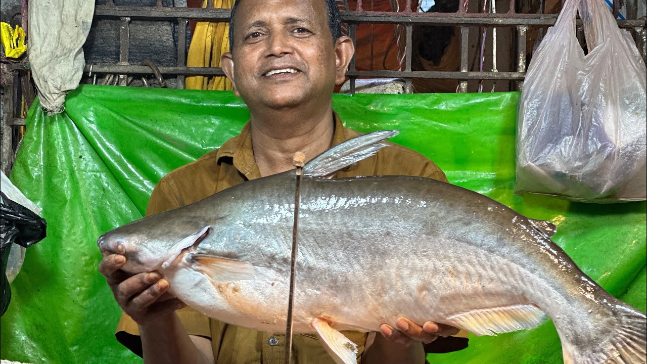 Giant Phangas fish cutting #fish cutting #cutting skills - YouTube