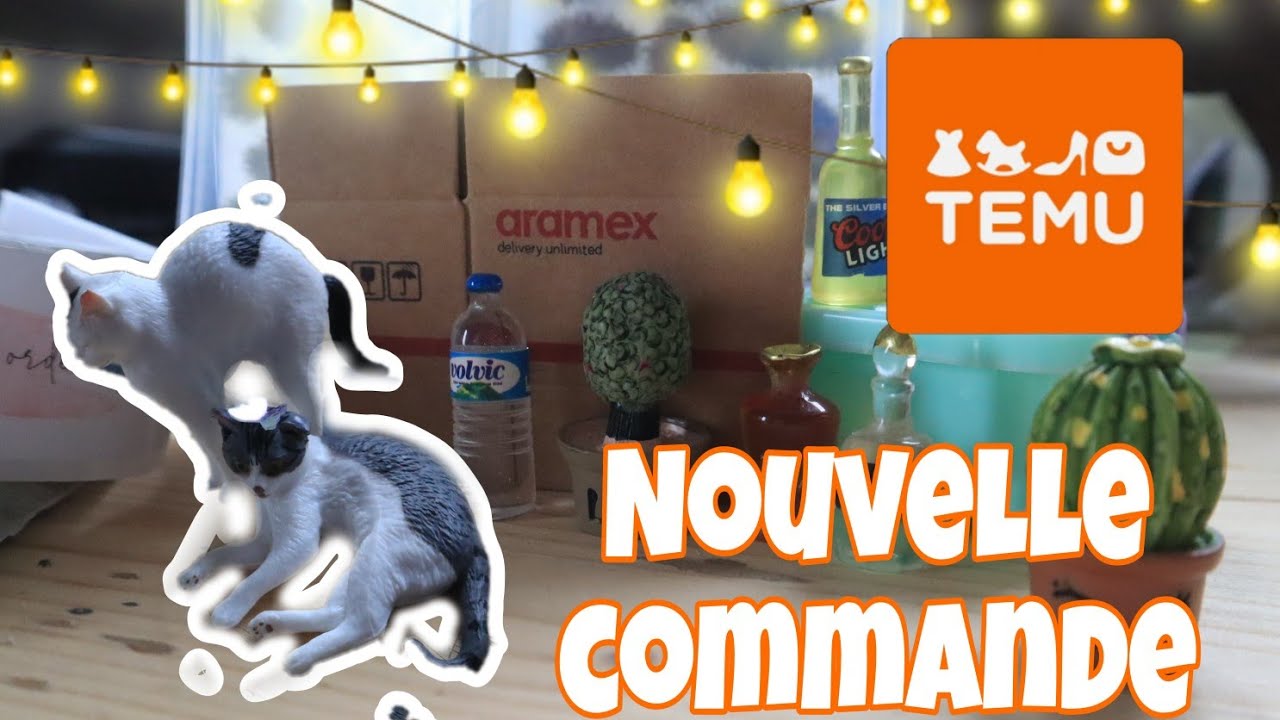 [Colis TEMU] J'ai encore trouvé pleins de choses super !! - YouTube