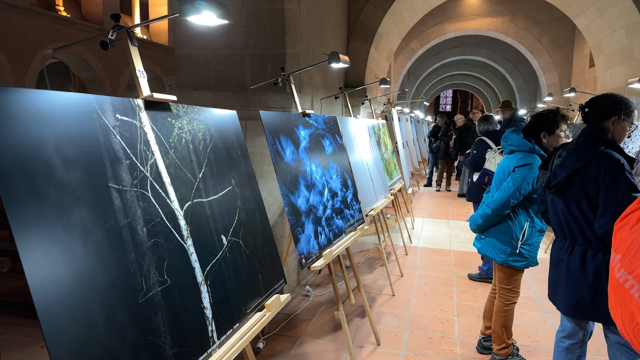 Concours photo : comment le jury vote ? - YouTube
