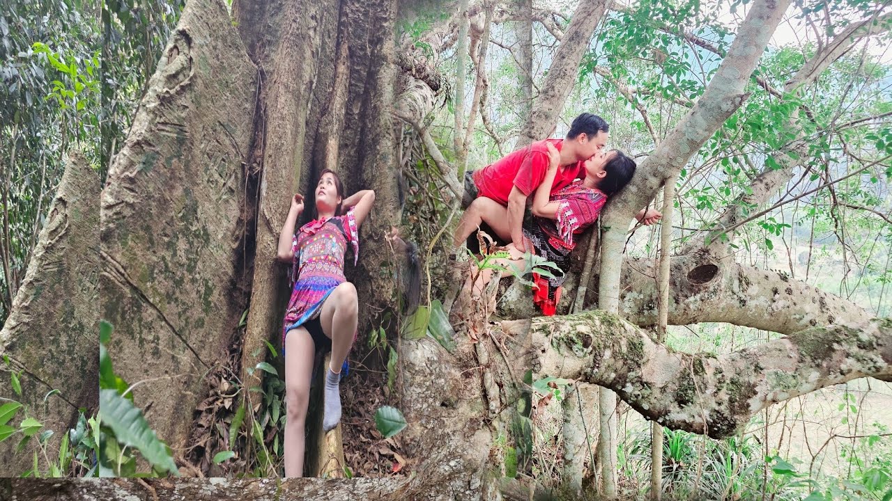 The couple went on a long trip and found a giant tree that was a ...