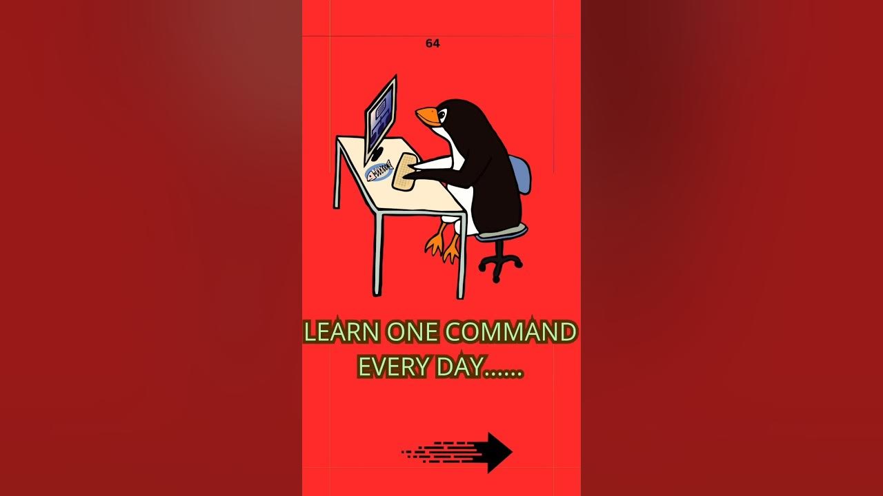Learn One Command Every Day 64 Linuxtutorial Linuxcommandlinetutorial Linuxcommands Youtube