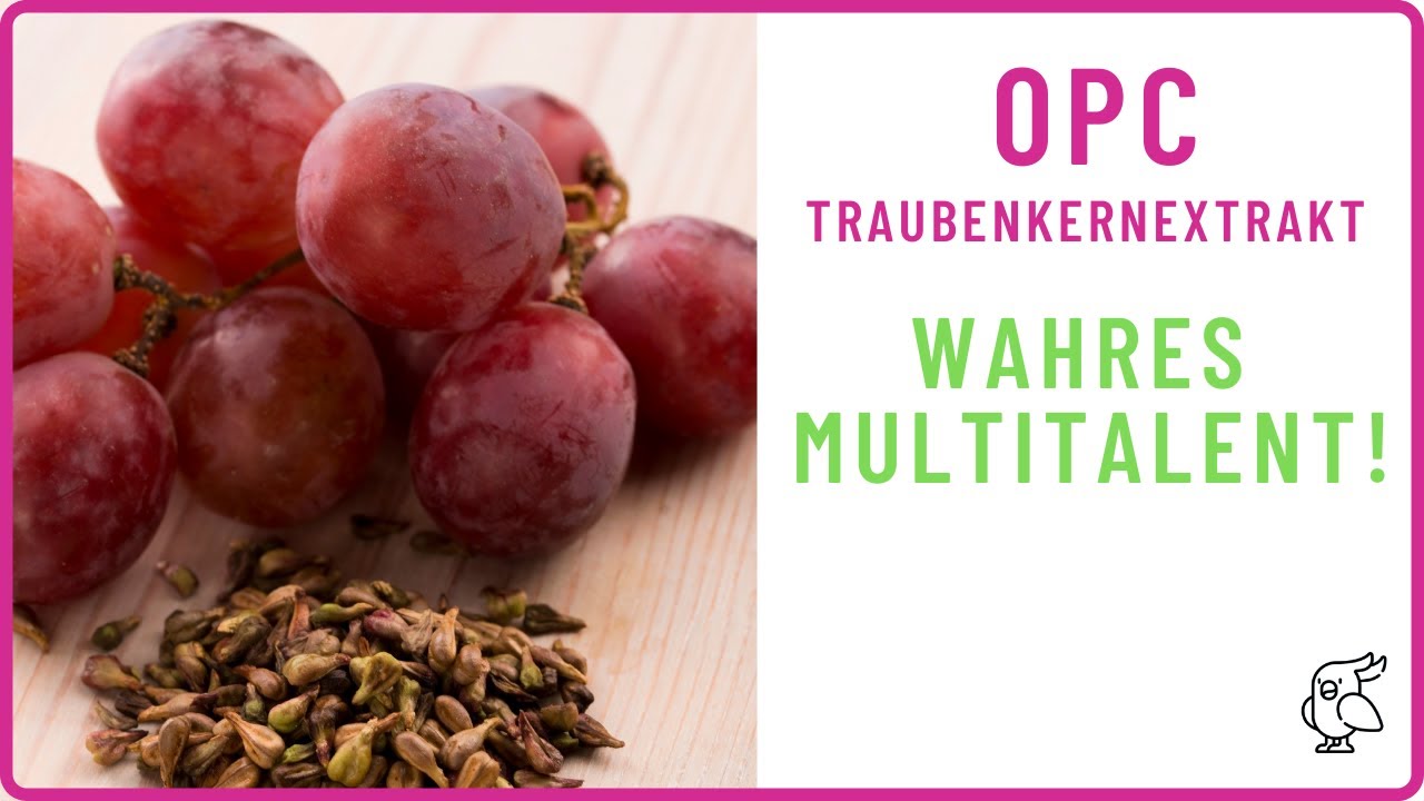 OPC TRAUBENKERNEXTRAKT EIN WAHRES MULTITALENT 5 Wirkungen, die du ...