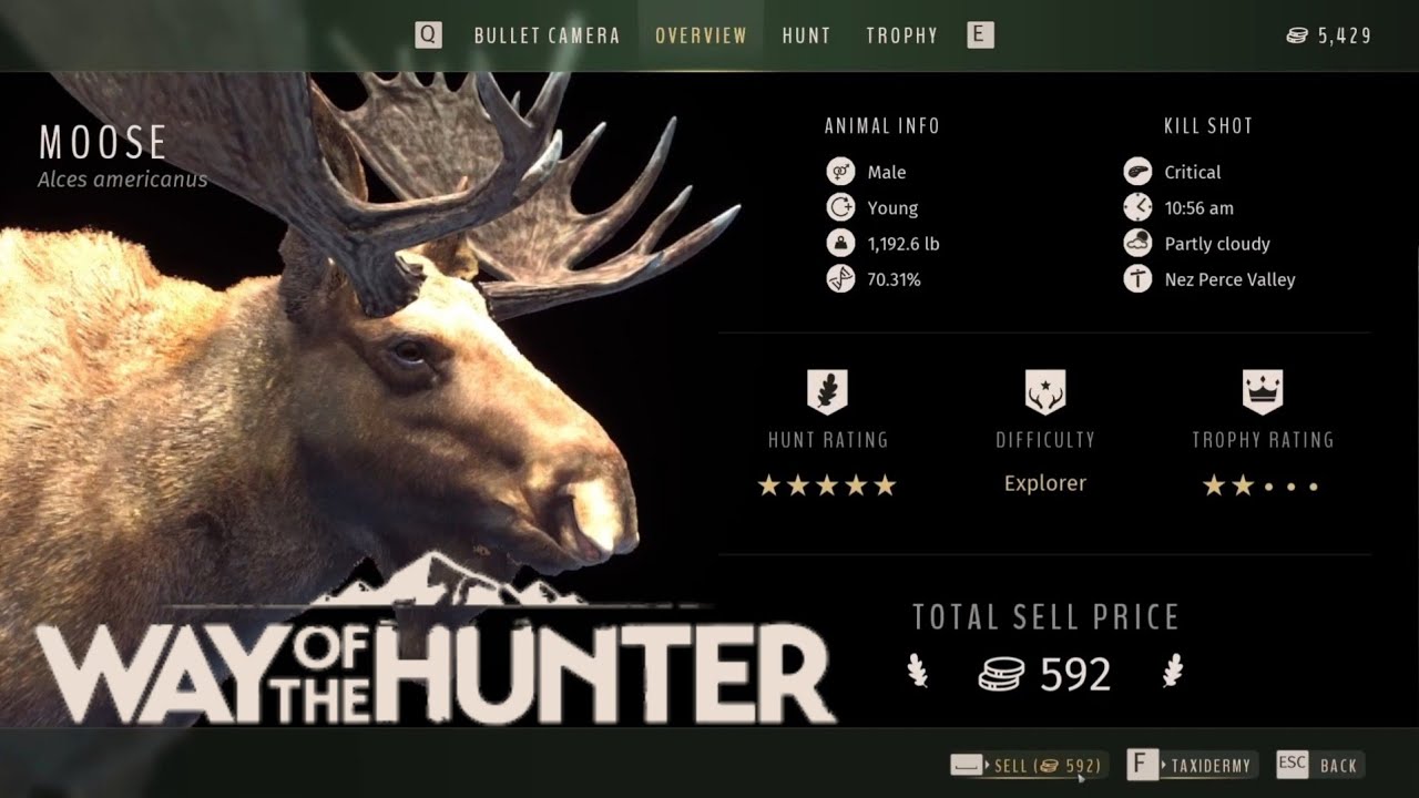 Way of the Hunter Gameplay | 2 stars Moose Mission and location #akaibb ...