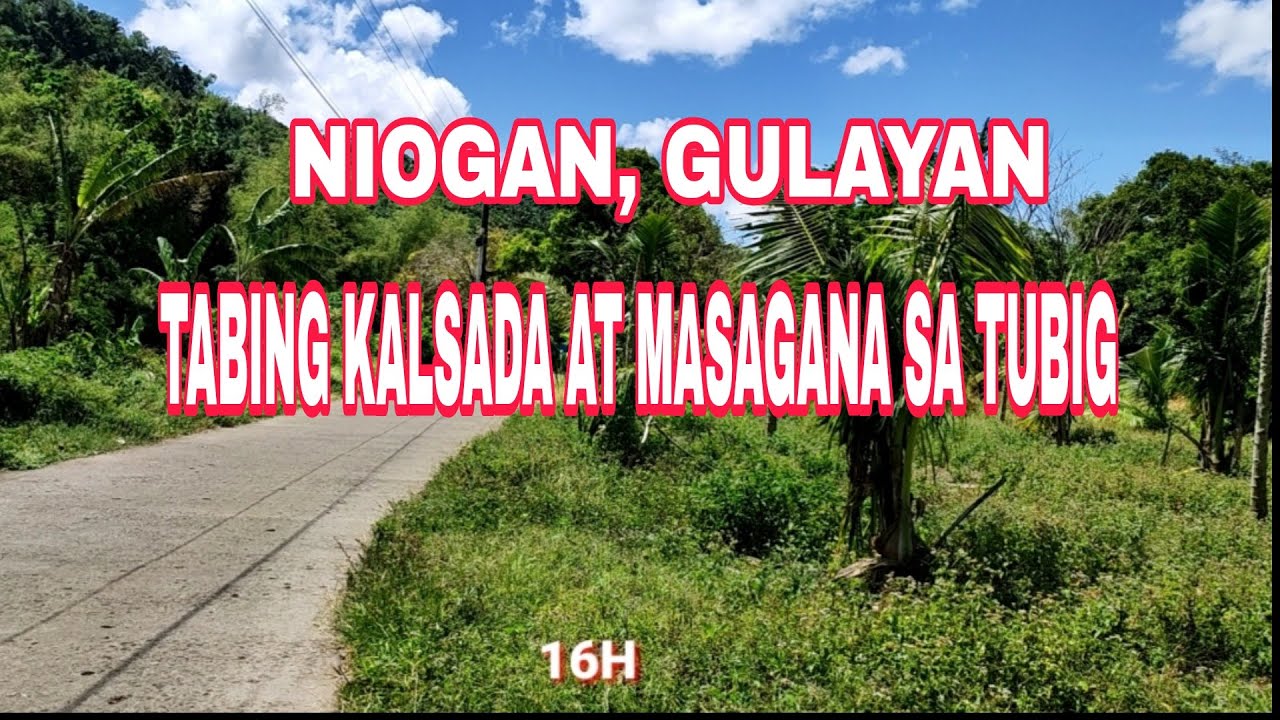 #705 #FARM LOT TABING KALSADA - YouTube