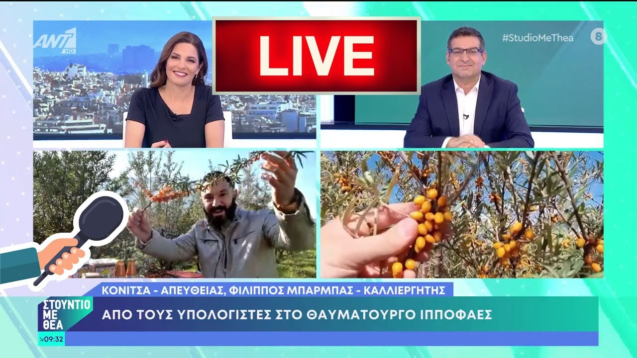 Το ιπποφαές Live στον ΑΝΤ1 - YouTube