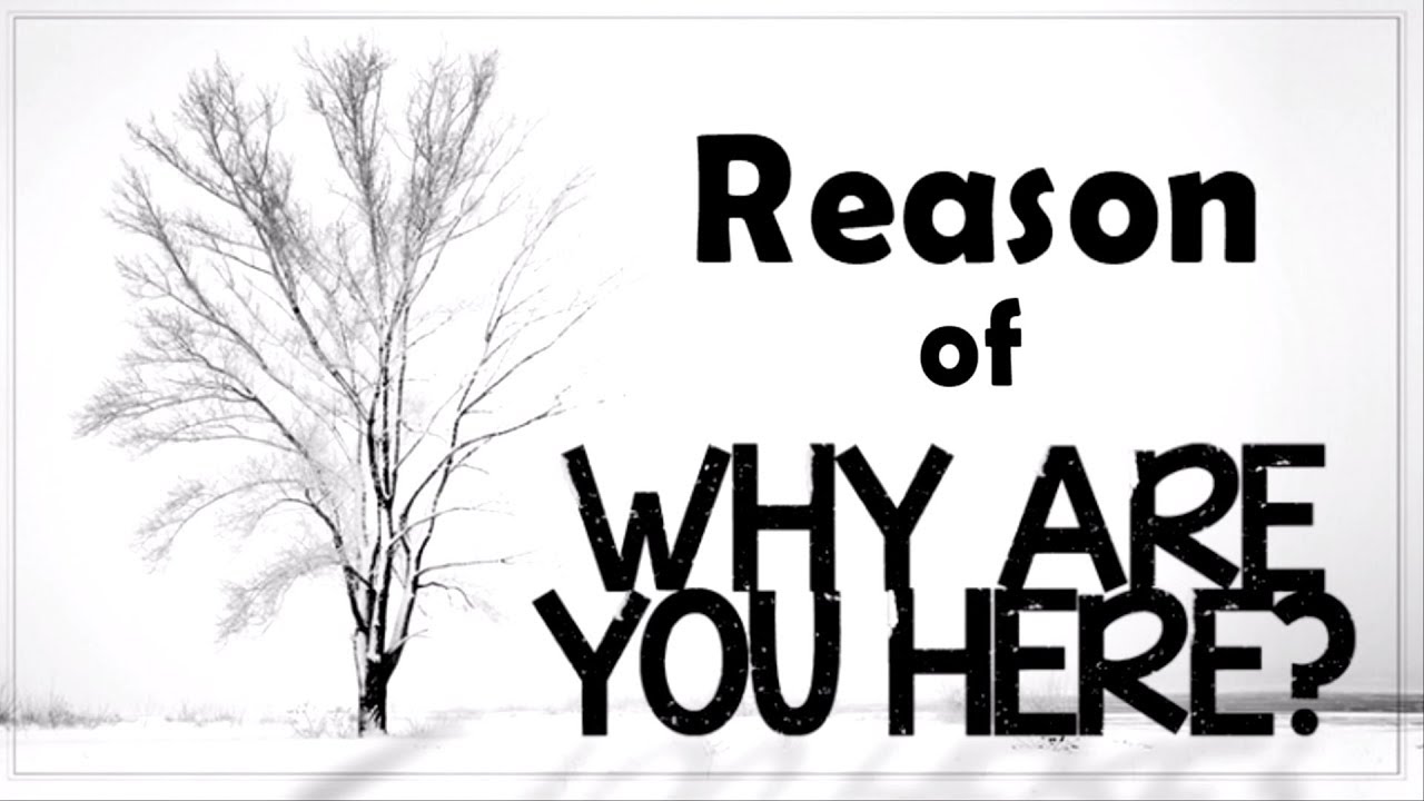 FIND THE REASON WHY YOU ARE HERE || START WITH WHY || SIMON SINEK - YouTube