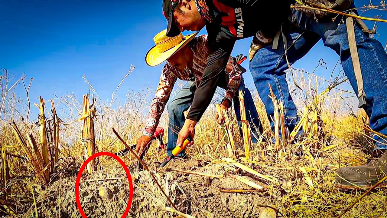 HALLAZGOS REVELADOS!! Historias Inolvidables en Especial de Piezas Desenterradas con Benjamín ...