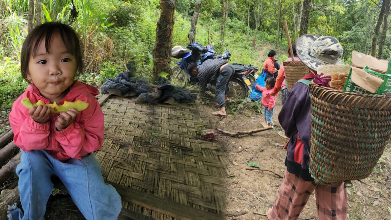 tshawb khaub ncaw qub mus Dai noog piv tim teb nplej - YouTube