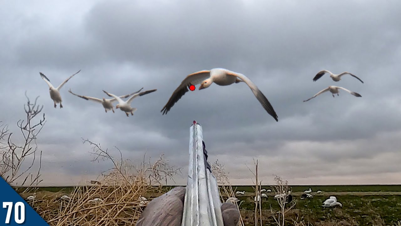 DECOYING Snow Geese Over A TINY Spread! | Snow Goose Hunting - YouTube