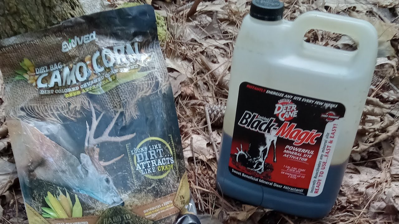 Trying Camo Corn at the mineral site & mock scrape! Final deer preps ...