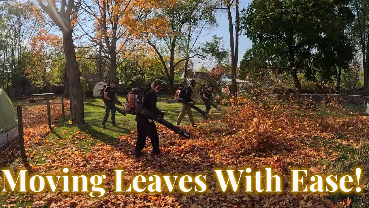 Fall Cleanup With A 4 Man Crew! - YouTube