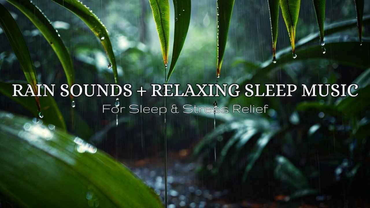 Rain Sounds & Sleeping Music for Deep Sleeping Soothing Music to Let Go ...