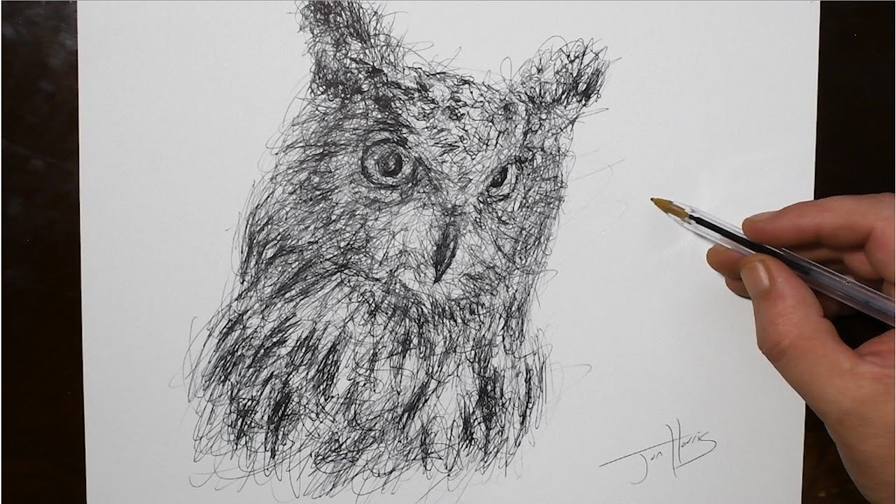 How to Draw an Owl | Amazing Scribble Art Drawing with a Biro Pen - YouTube