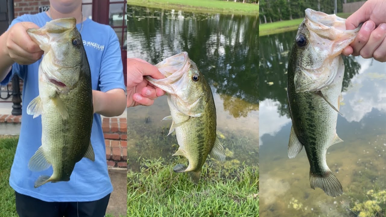 1v1 Pond Hopping Fishing Challenge! (Big Bass) - YouTube