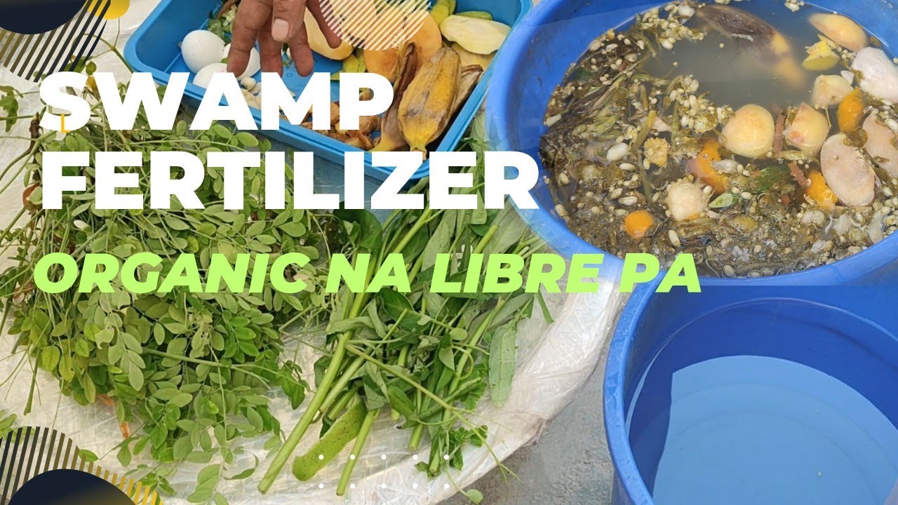 PAANO GUMAWA NG EPEKTIBONG SWAMP FERTILIZER PARA SA HALAMAN - YouTube